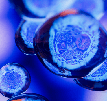 Careers - Elixia - A breakthrough approach to clinical trials